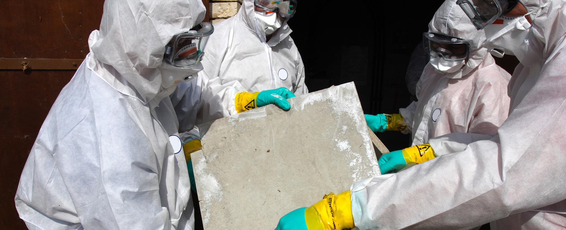 Mold Remediation Vancouver, Mould Removal BC, Mold Cleaning Company